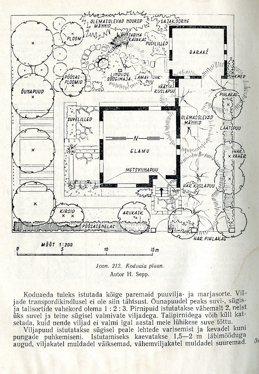 Tulp ja tulp: KAUNIS KODUAED 11