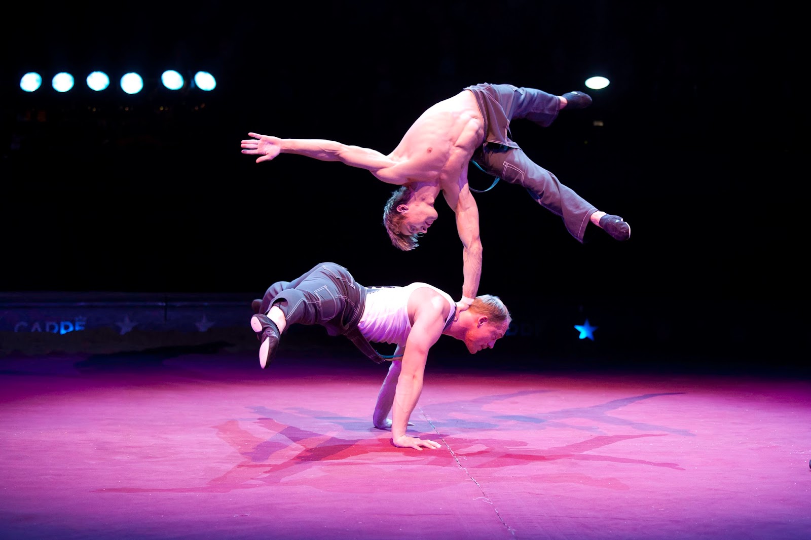 circus: Le Cirque KNIE - Tournée 2016 - Thierry BISSAT, un photographe ...