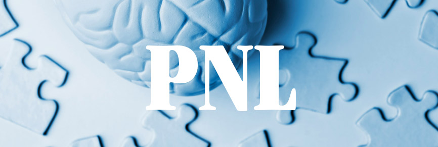 Dimension Zelaznog: PNL