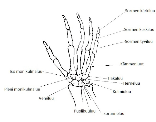 Saran opiskelu: Käsien hoito