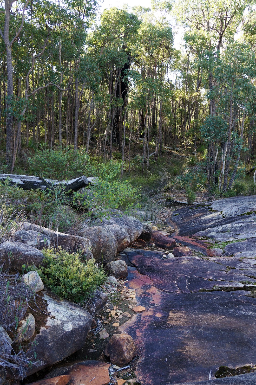 The Dell to South Ledge (Beelu National Park) ~ The Long Way's Better