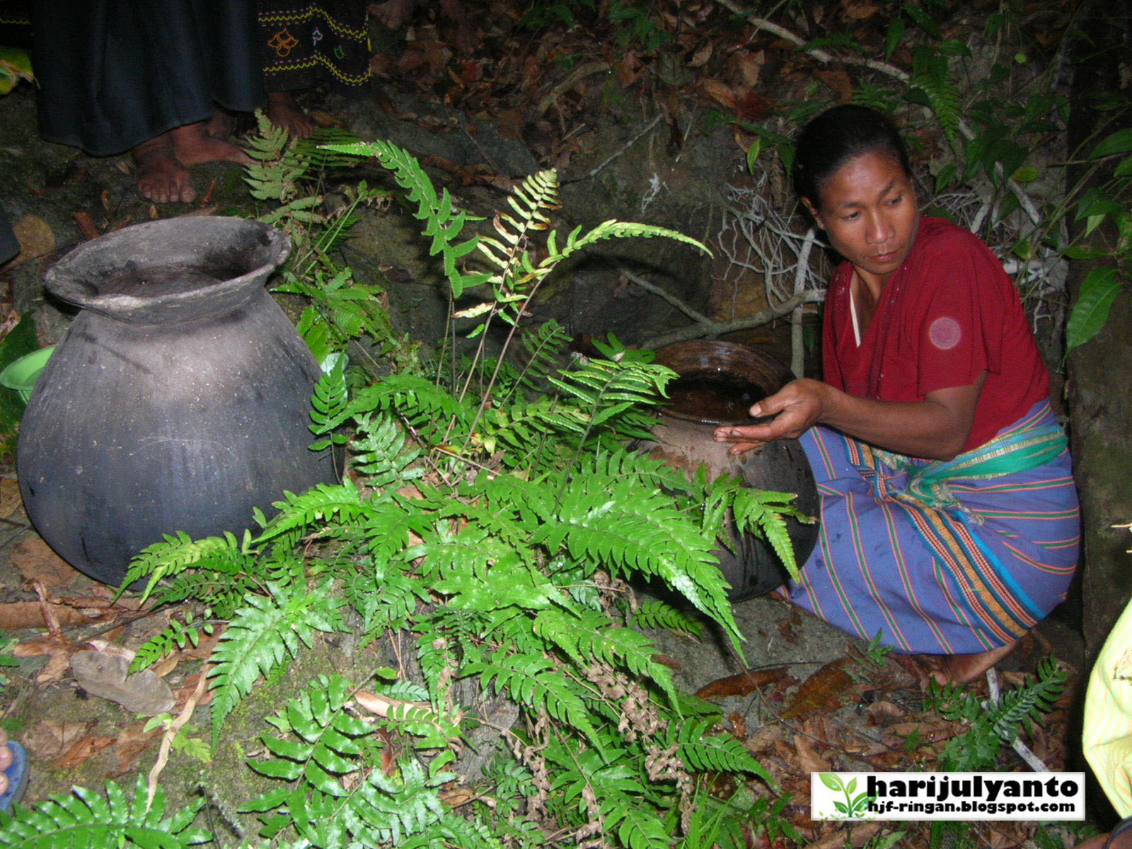 Ringan: Malam Di Hutan Ritus Liang ( Ritual Purung Taliang Marapu )