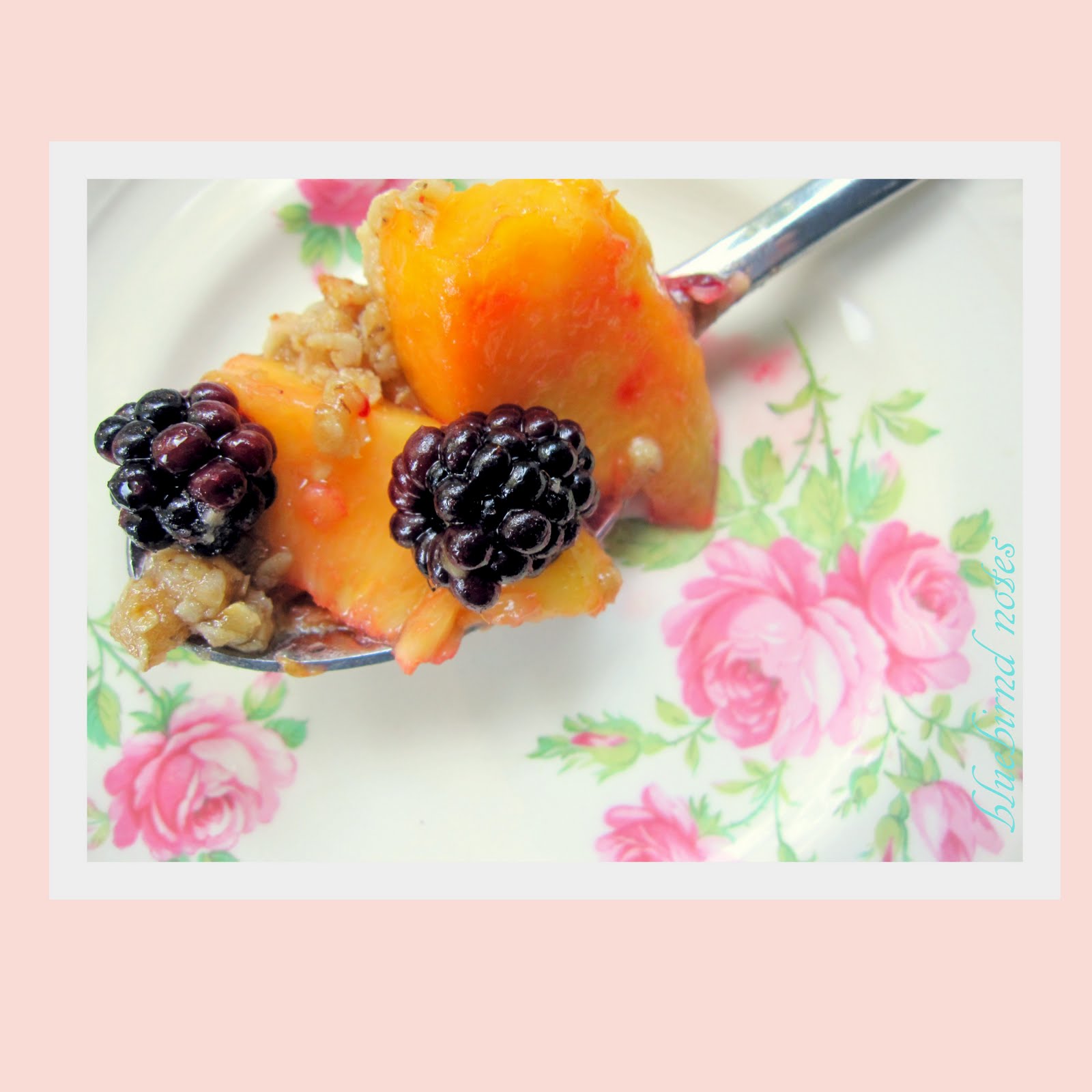 Bluebird Notes: {just peachy goodness}