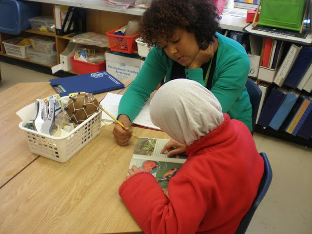 Demonstration Classroom Sharing: What do you observe, wonder and infer?