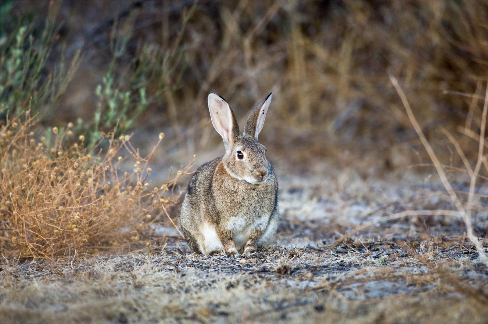 Y ahora, ¿qué?........What next?