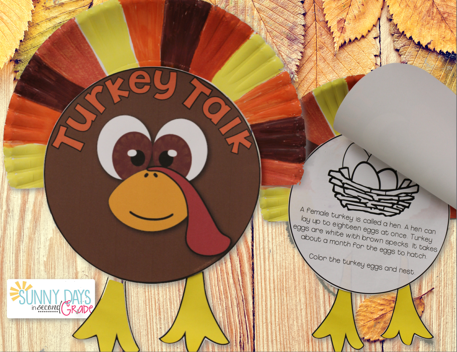 Informational Text Turkey Craftivity - Sunny Days in Second Grade