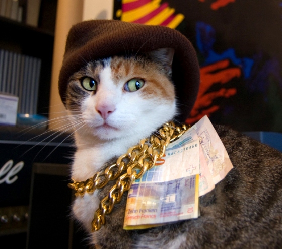 HIPERSESSÃO : Gato Rapper Cheio da Grana