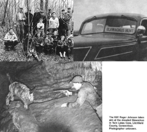 Share Our Garden!: Glawackus