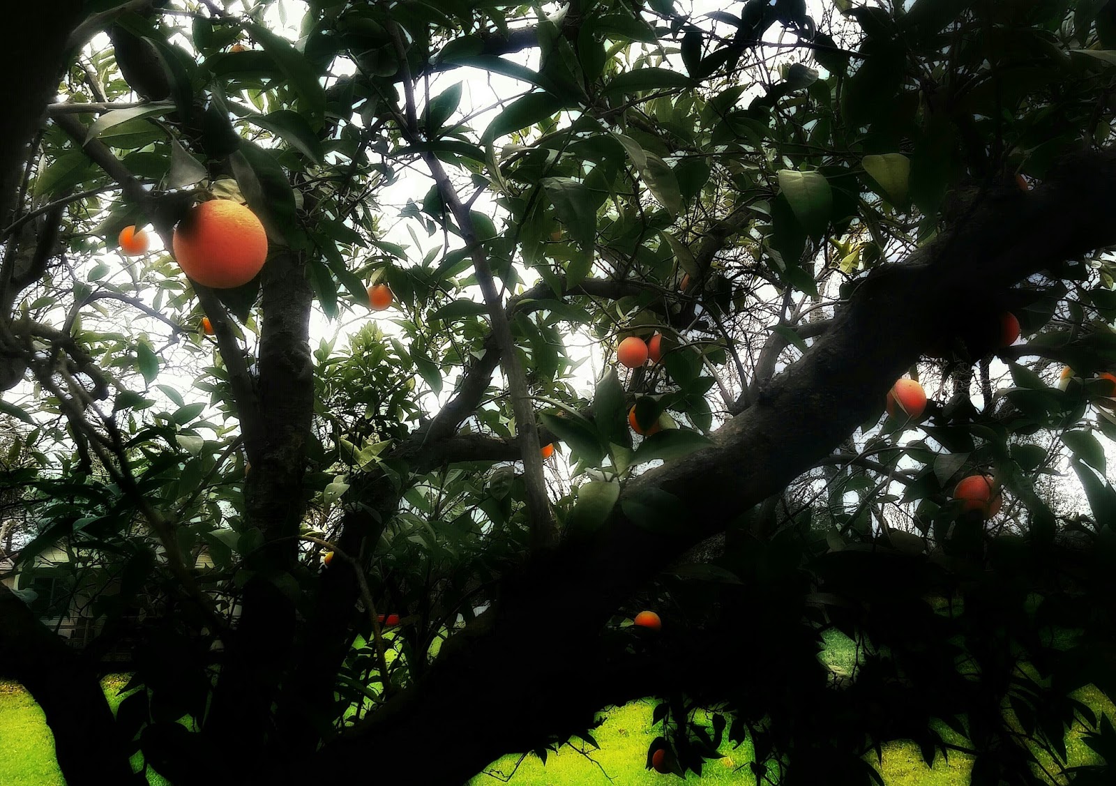 Medusa's Kitchen: Small Kindnesses