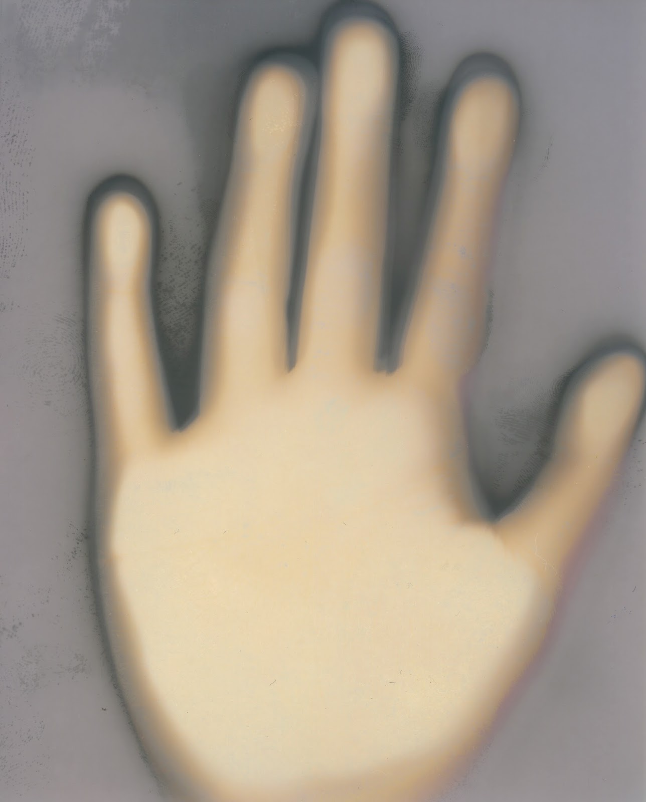 Photographic Experiences: Selenium Toned Lumen Prints