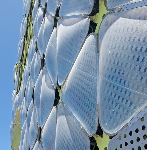 Inspiración Natural: Biomímesis