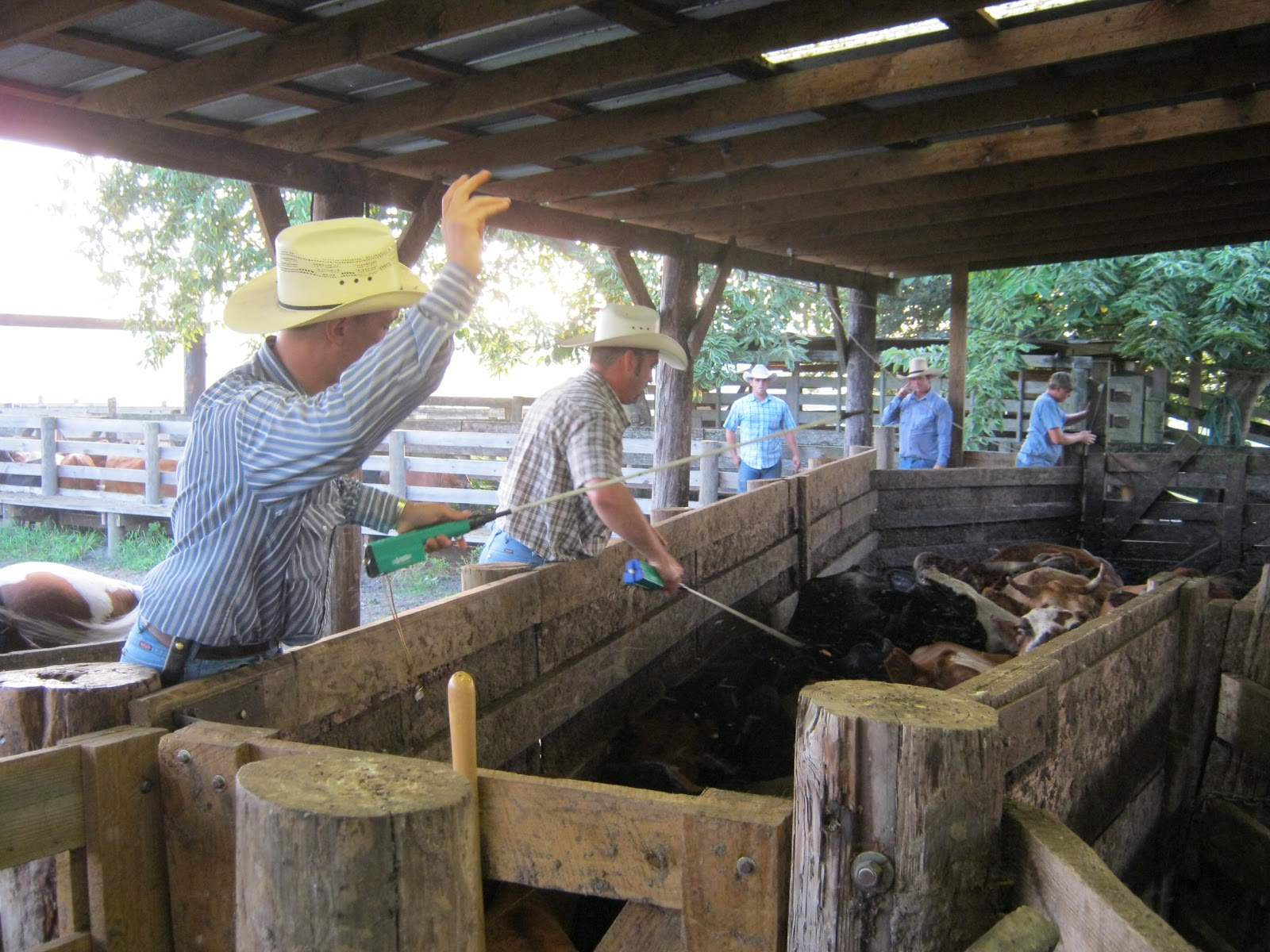 Kennedy Ranch Mission