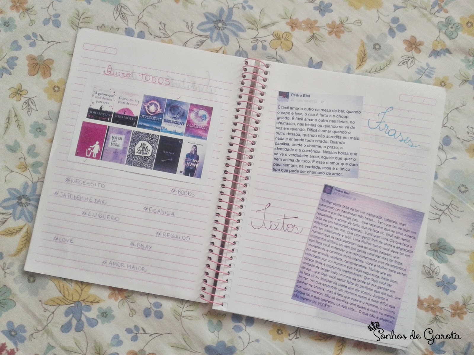 Sonhos de garota: Caderno de inspirações ou caderno dos sonhos