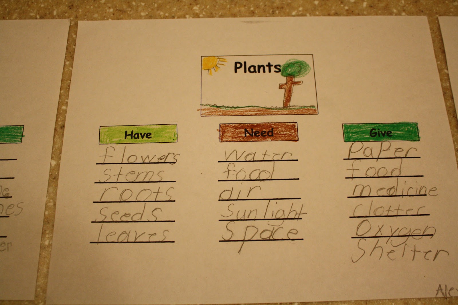 First Grade Days!: Away We Grow! Week 1