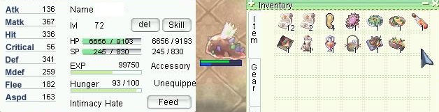 Ragnarok Online (iRo) Guias en Español: Ragnarok Online Información ...