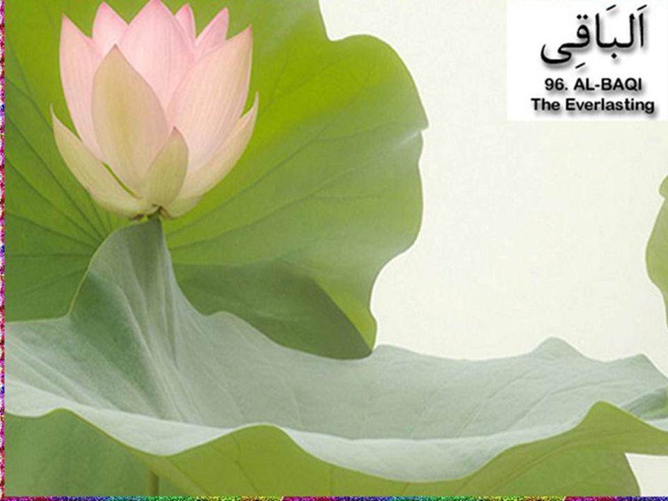 Al-Baqi | Muslim Taat