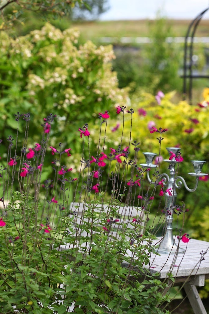 Garden Living: august 2014