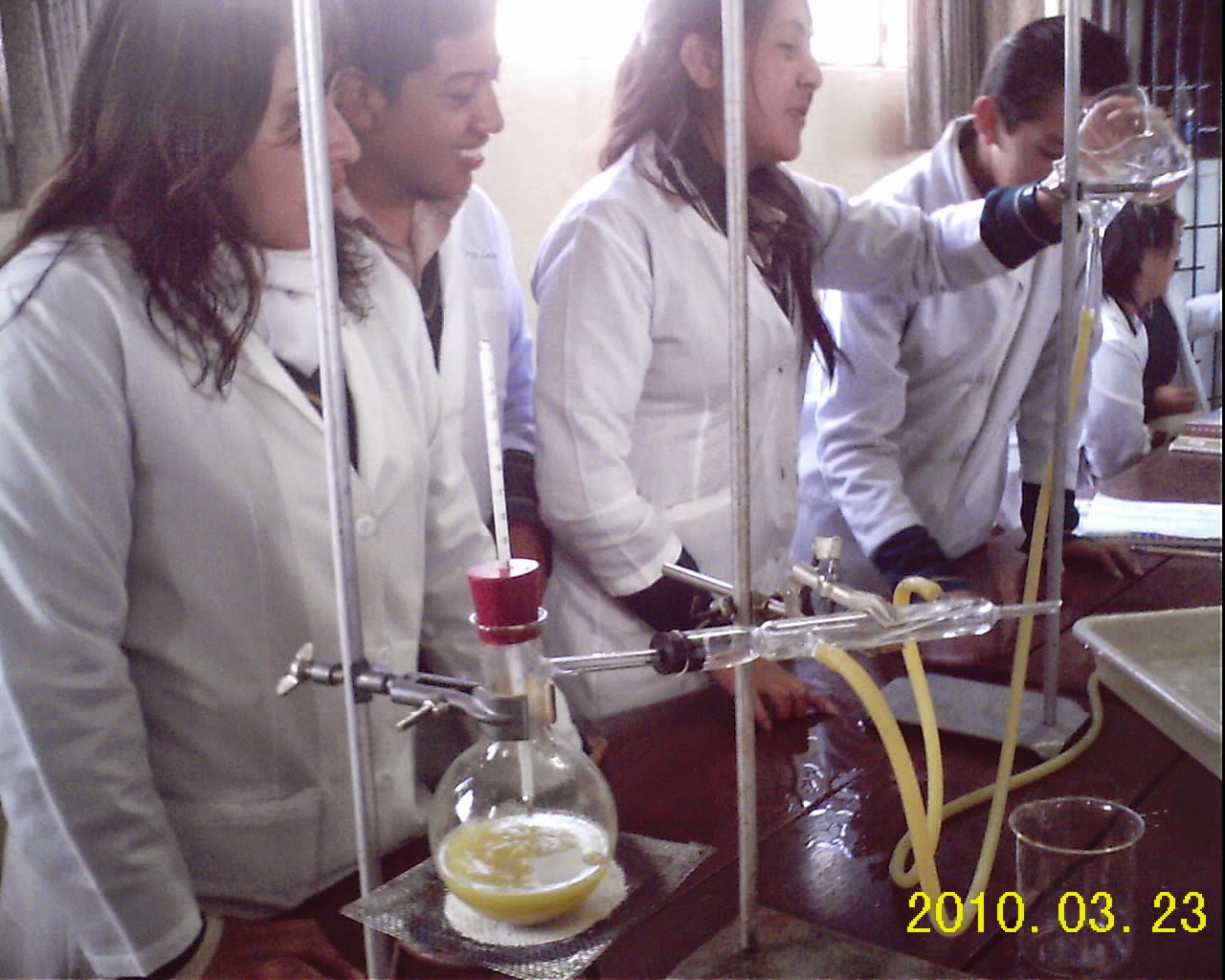 LABORATORIO DE BIOLOGIA QUIMICA Y CIENCIAS NATURALES: RECUERDITOS DEL LABORATORIO