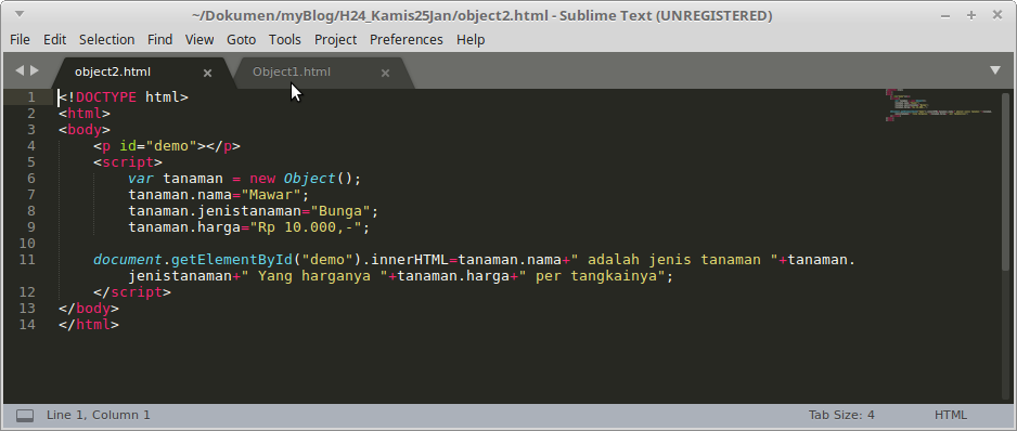 Papanbelajar Penggunaan Function Dan Object Pada Javascript