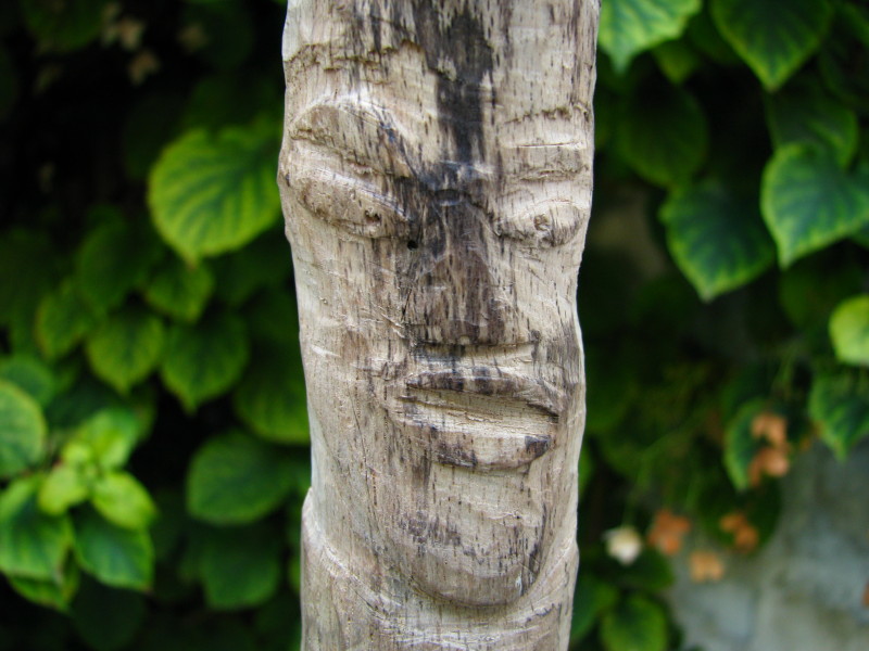 LB55'55-Emiel-on-the-blog: My Son's Beech Wood Carving - Age 14 - Tool ...