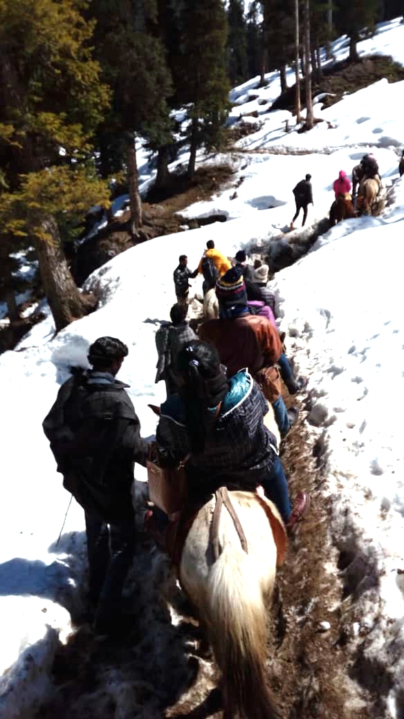 PERCUTIAN DI KASHMIR, INDIA PART 02