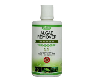 Remove Algae from Aquarium glass - Aquarium's Care