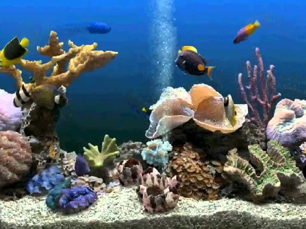 Moving Aquarium Desktop Free Download | Moving Wallpapers