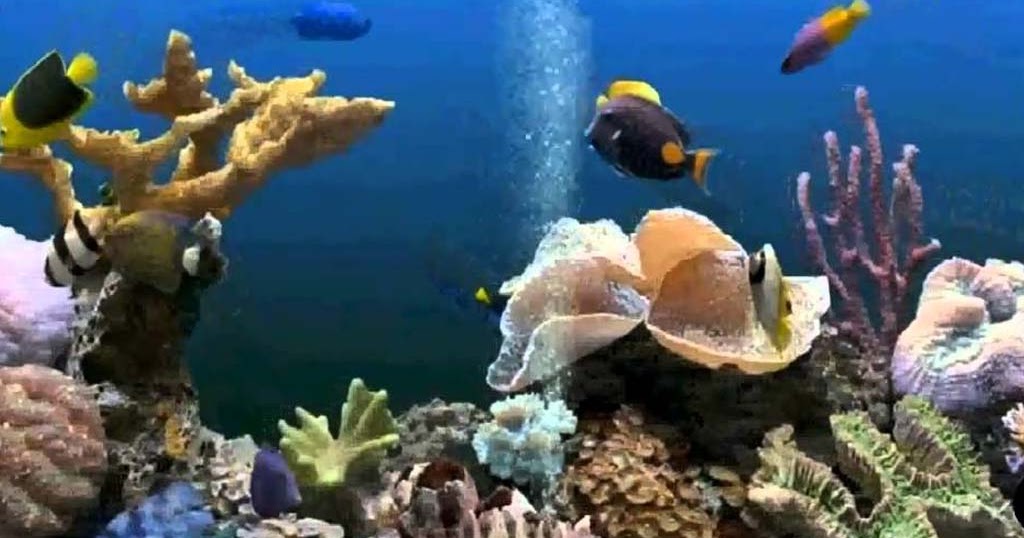 Moving Aquarium Desktop Free Download | Moving Wallpapers