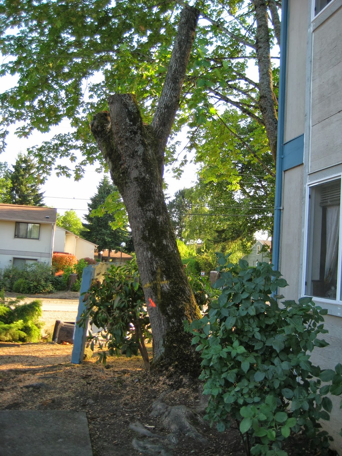 Gardening by the Inch