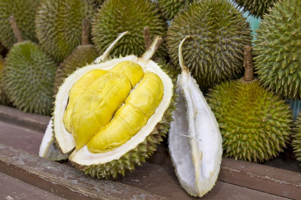 Harga Durian Makin Mahal, Apakah Sebabnya? - Media Sensasi