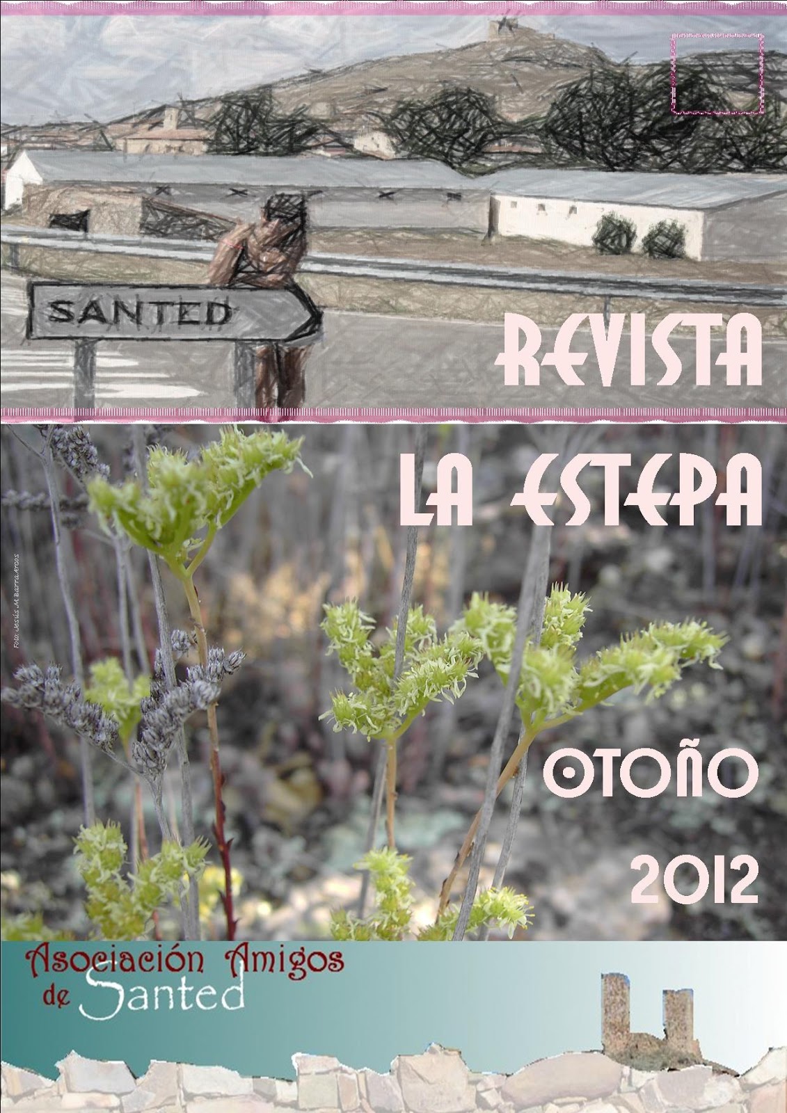 Asociación Cultural "Amigos de Santed": Asociación Cultural Amigos de ...