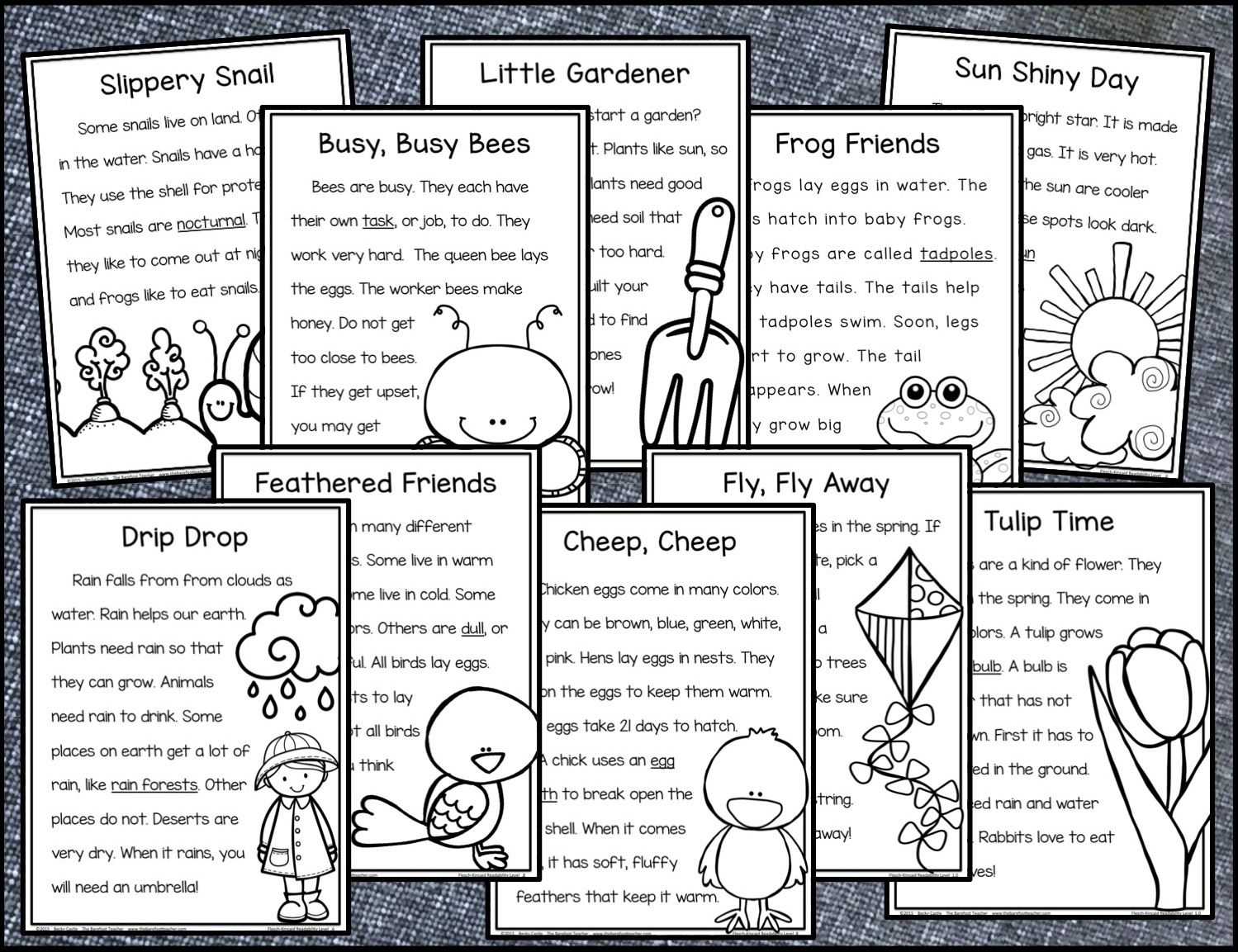 Spring Themed Reading Comprehension Pack Plus a FREE DOWNLOAD | The ...
