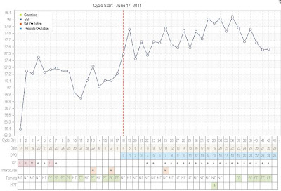Danielle / Aidan in the Making: Monitoring your Fertility