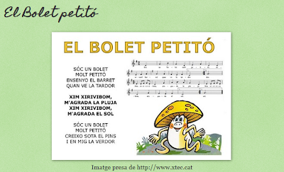 Recull de recursos per treballar els bolets