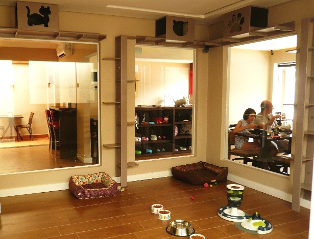 O primeiro " CAT CAFÉ " do Brasil