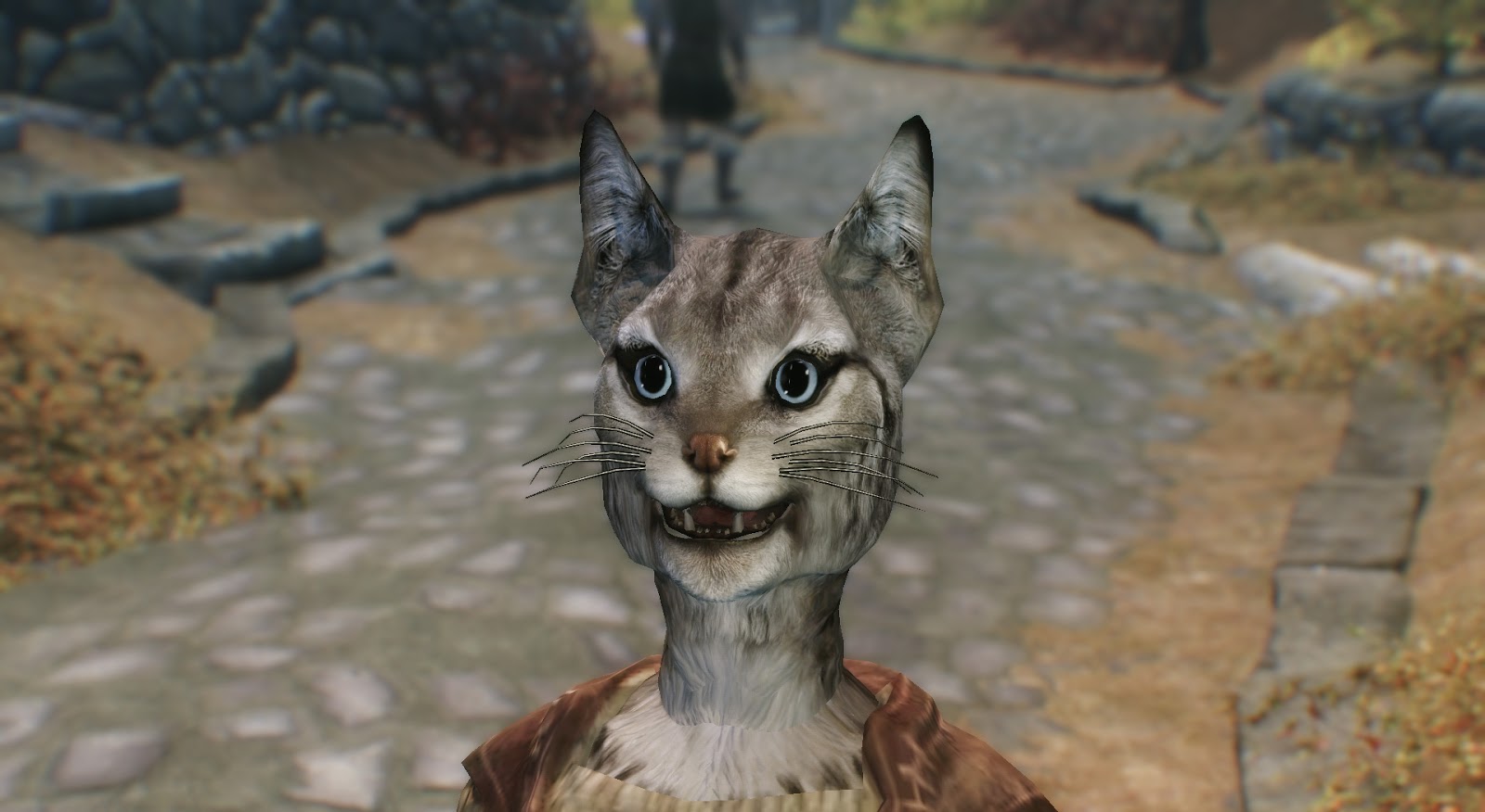 Skyrim khajiit texture mods - socroc