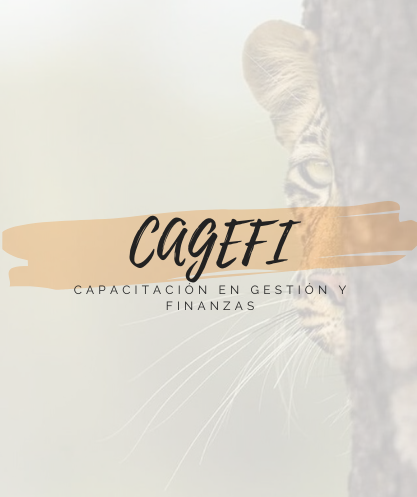 CAGEFI - Capacitación Virtual y Presencial