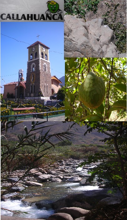 VIAJES CORTOS CERCA DE LIMA: CALLAHUANCA: VALLE, SOL Y CHIRIMOYAS