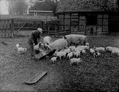Excerpts from Leominster's History - Life of a woman farmer in 19th ...