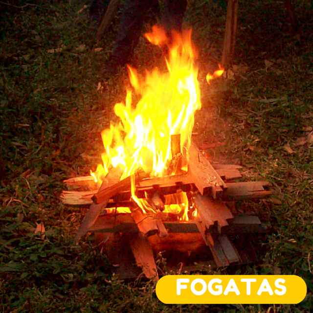 BlogScouter: Fogatas