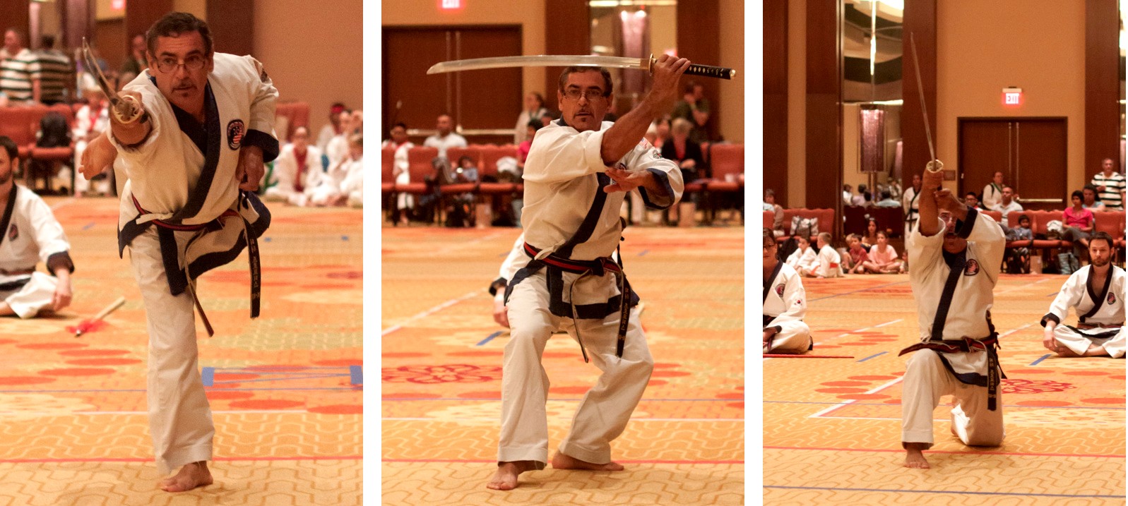 TANG SOO DO (TANG SU DO) MI GUK KWAN Sa Bom Nim R. LONGINOTTI ...