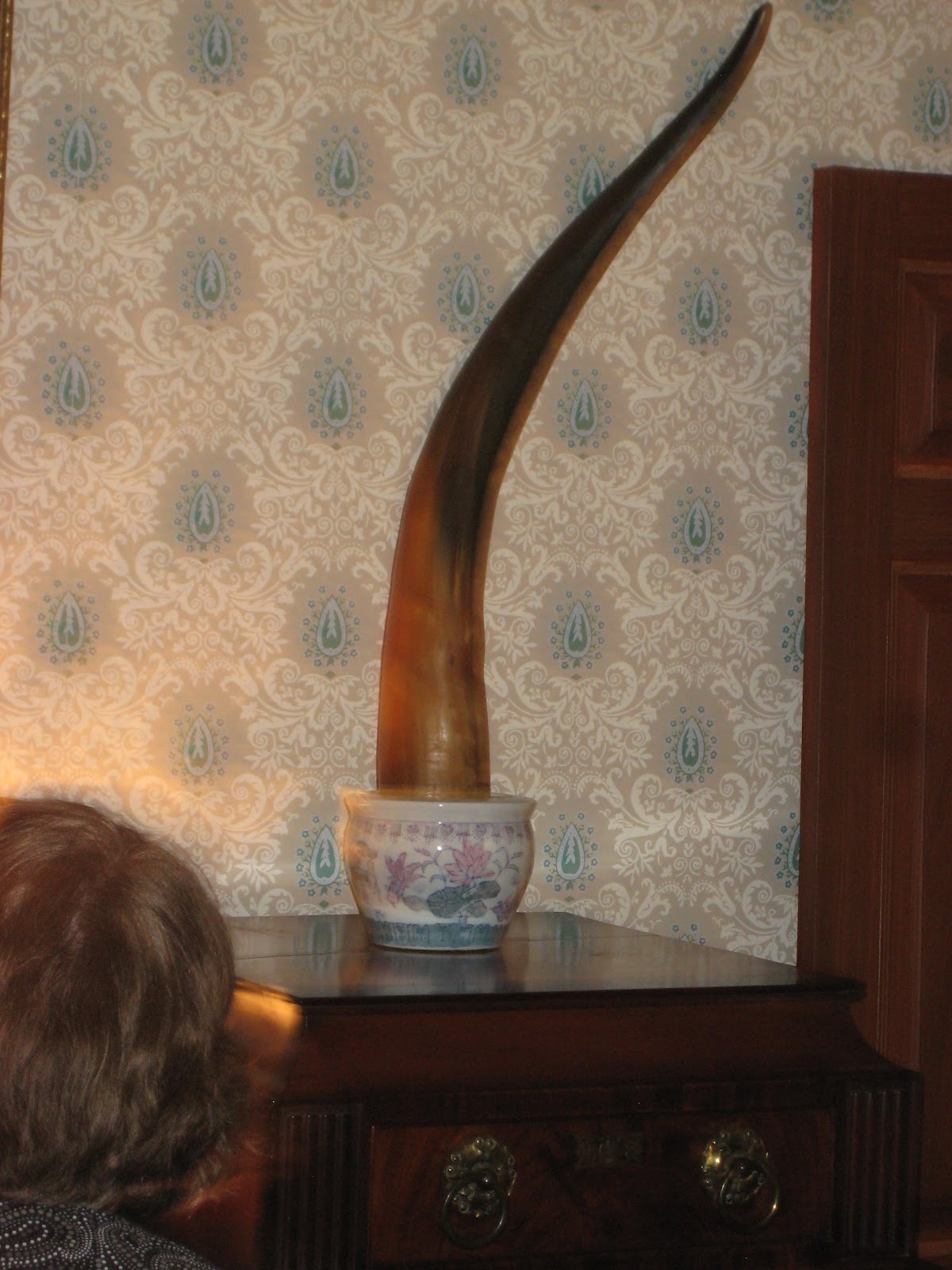 Clan Colquhoun Blog: Tour of the John C. Calhoun home Fort Hill at Clemson