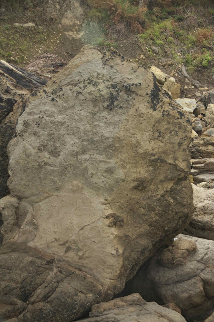 naturaleza en asturias: 2015