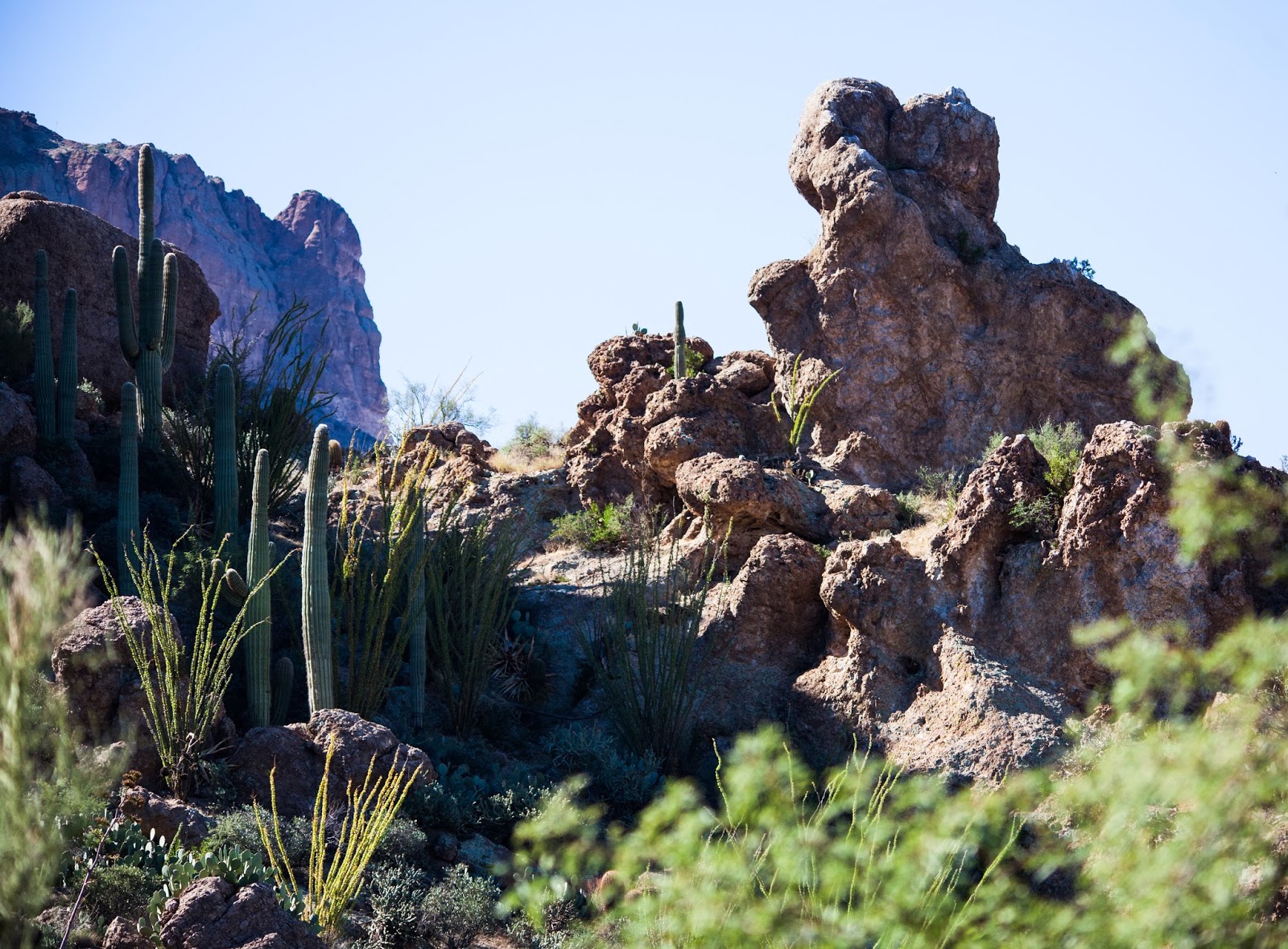 Walking Arizona: A Rocky Desert Outcrop