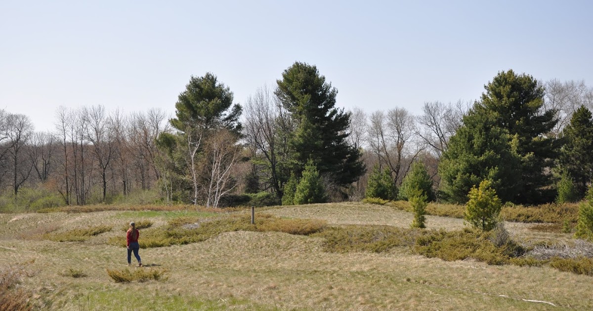 The Political Environment: About 'useless' park land WI would give to ...