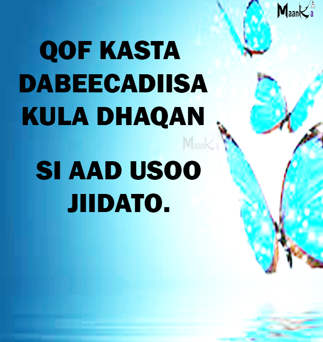 Dabeecad- Xikmad | Xikmado