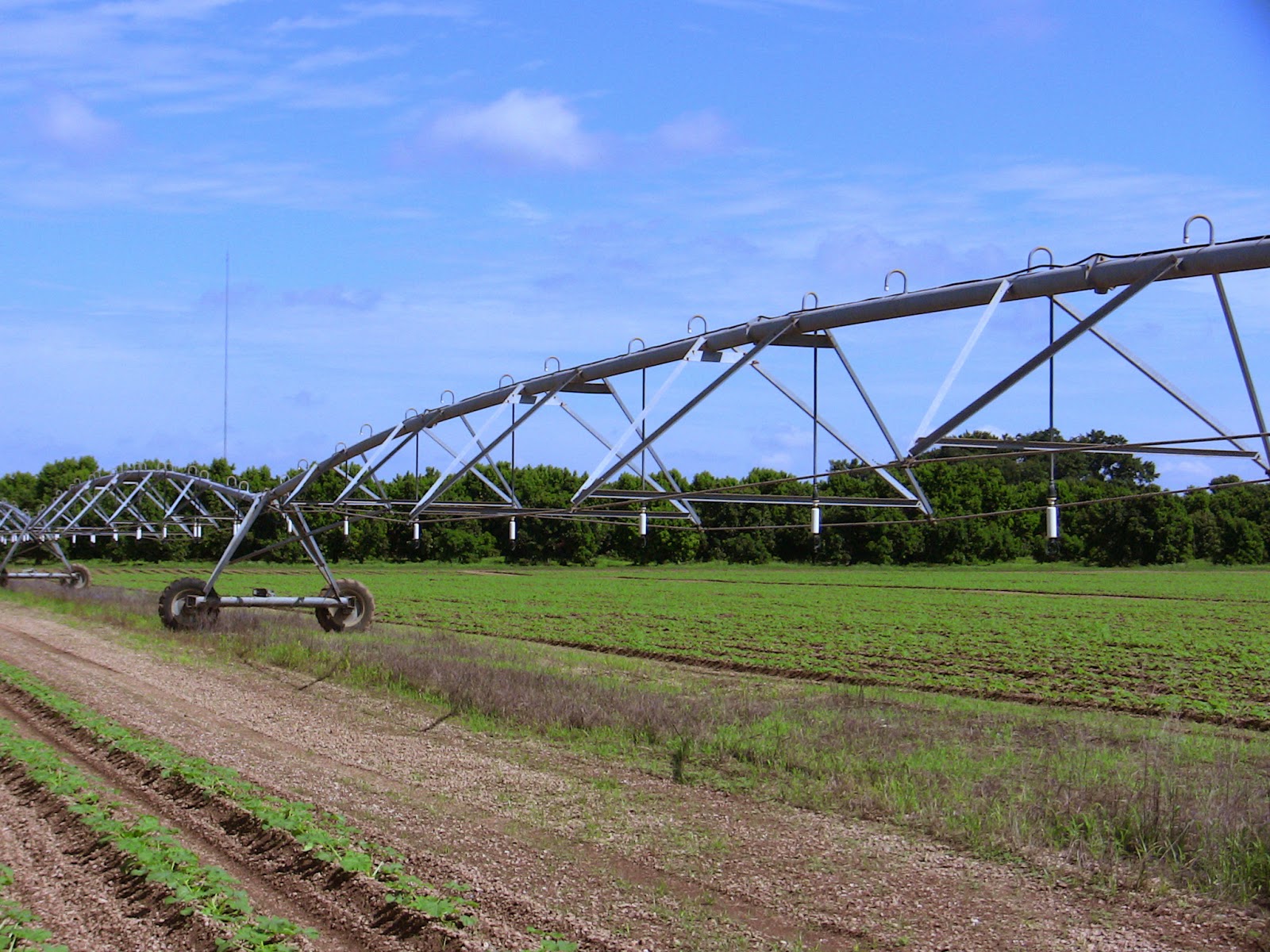 UF/IFAS IrriGator: IrriGator BLOG start
