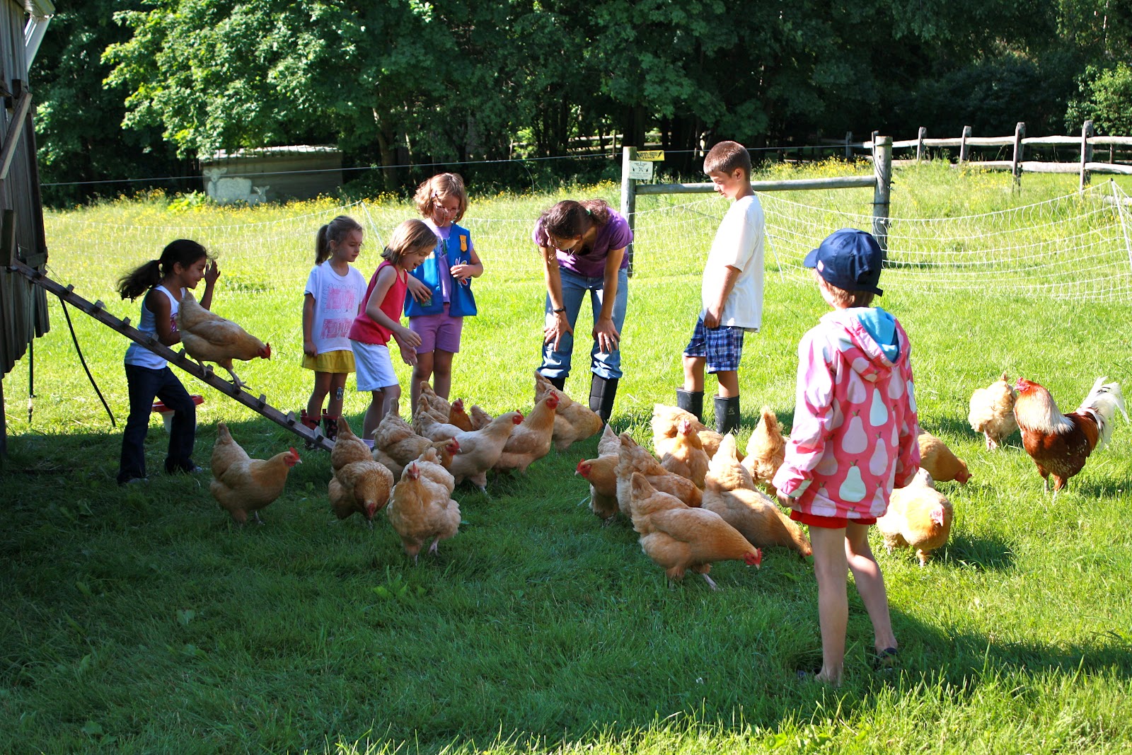 Girl Scout Troop 30367: Shelburne Farms Trip