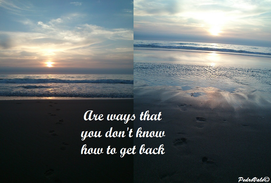 Palavras (s)cem Gestos