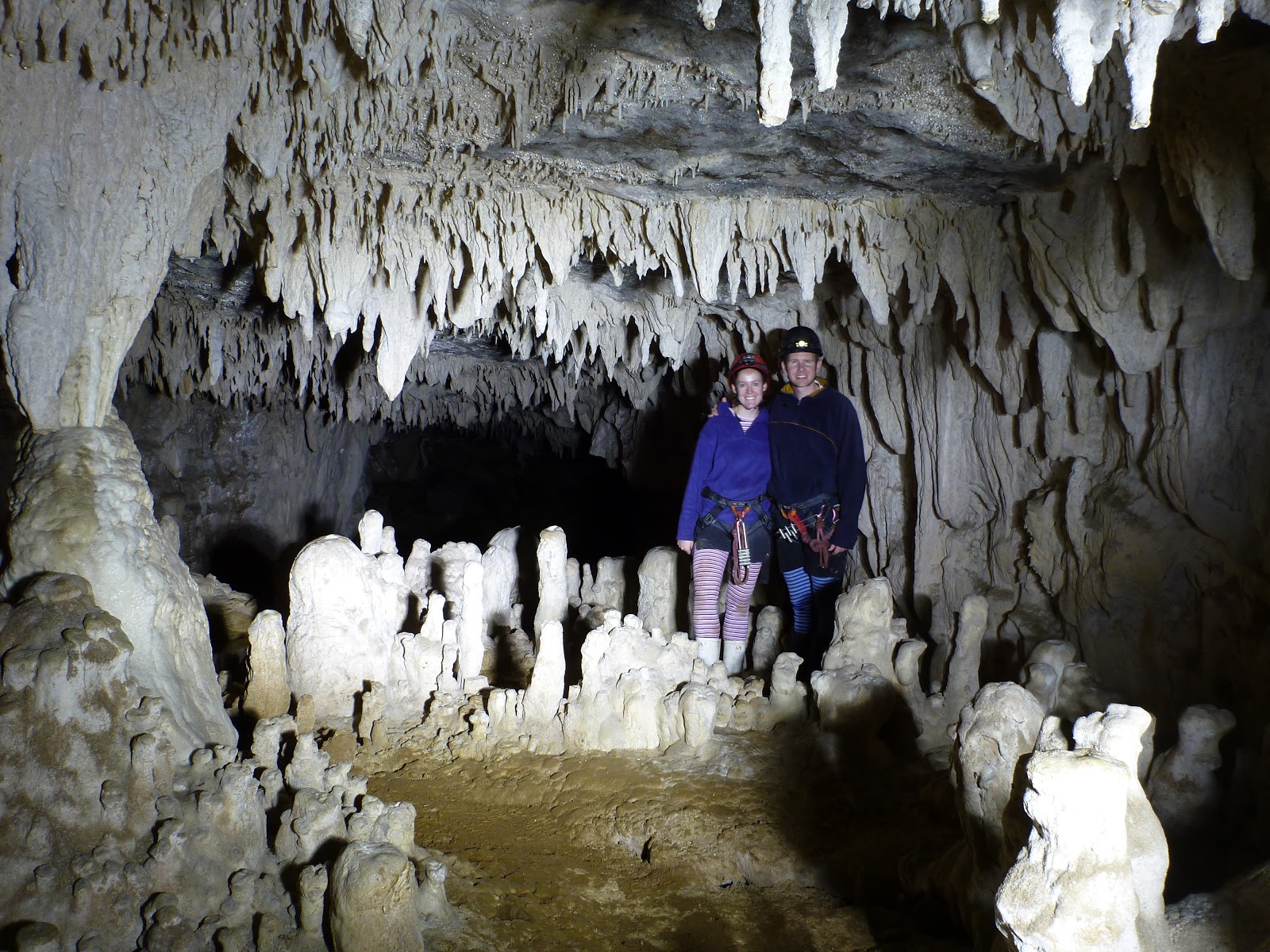 Reeds Around the World: Waitomo Caves